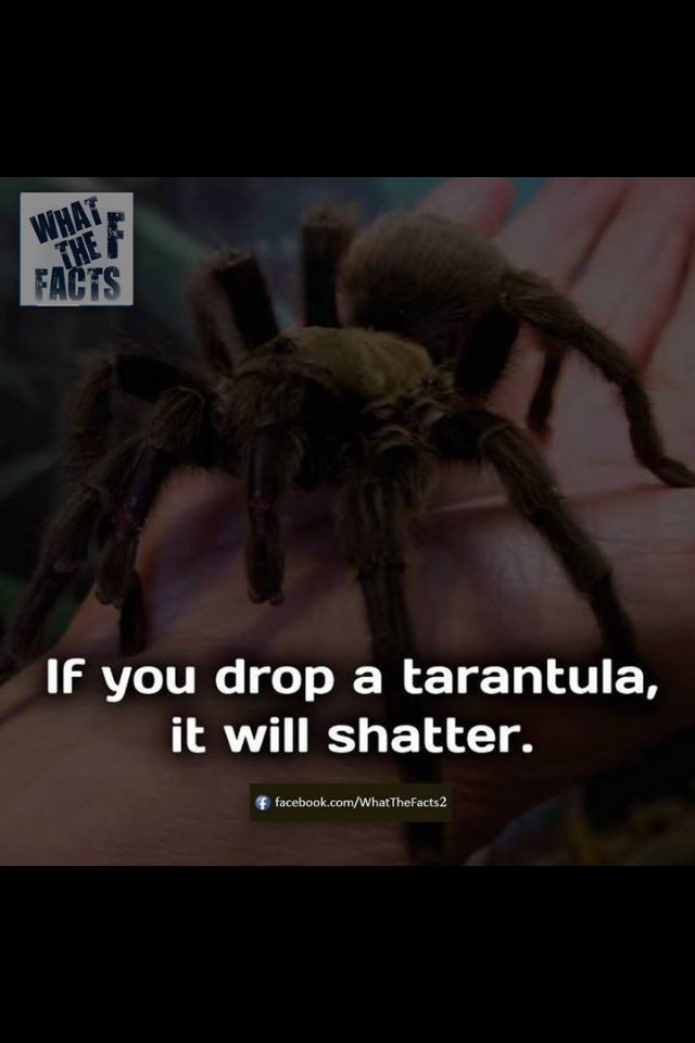 I like pot . - Meme subido por xmexican81x :) Memedroid