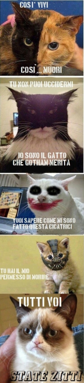 lool - Meme by alessandroconte31 :) Memedroid