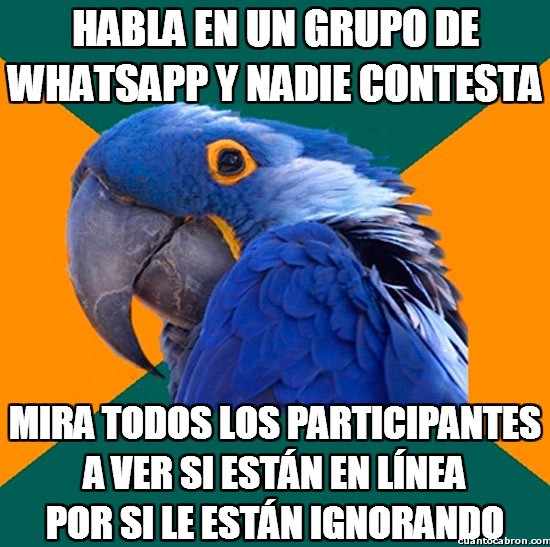 loro paranoico - Meme by jose19991412 :) Memedroid