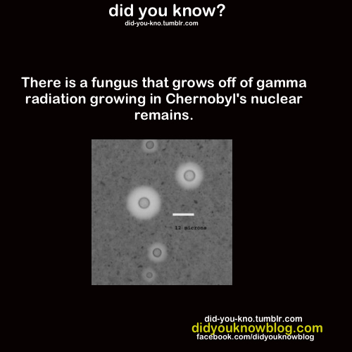 Yarp - Meme by TheStiffmeister :) Memedroid