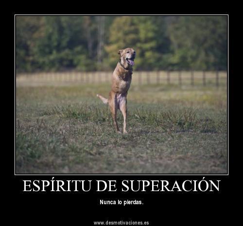 Superasióooooooooooooooooooooooooooooooooooooooooooooooo XD ...