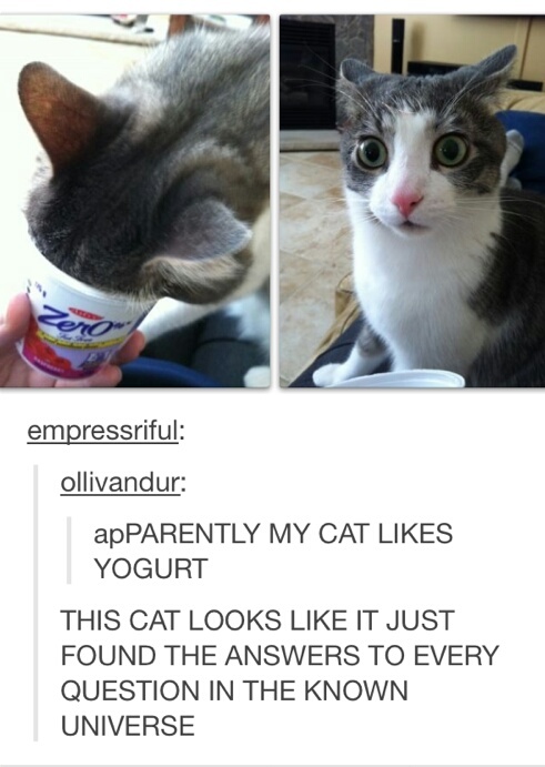 Discovery - Meme by CrazedNinjaHillbilly :) Memedroid