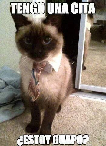 que bonito!!!XD - Meme subido por fcomartinezcontreras :) Memedroid