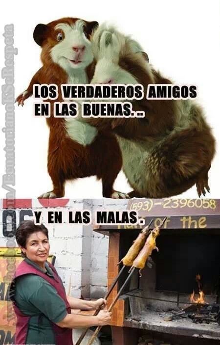 Cuyes... - Meme subido por luishidrobo1908 :) Memedroid