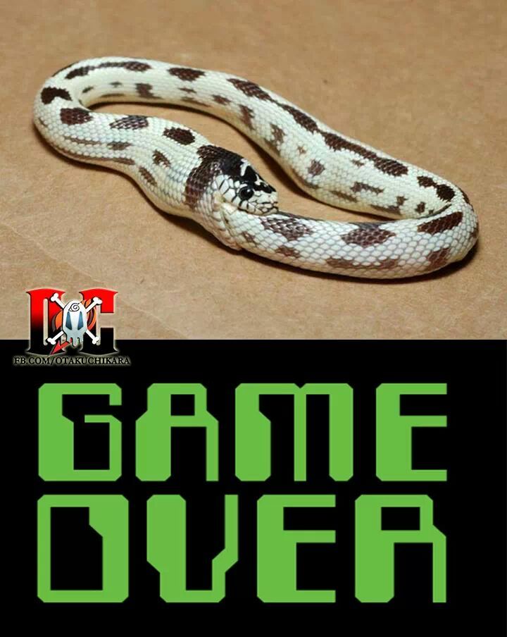 Game Over - Meme by FabioFeijo :) Memedroid
