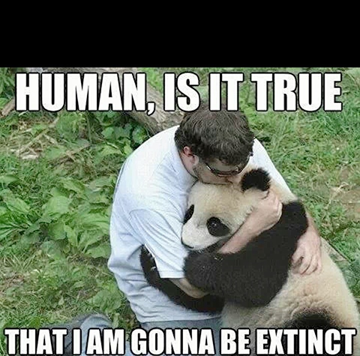 Aww - Meme by donsulic :) Memedroid