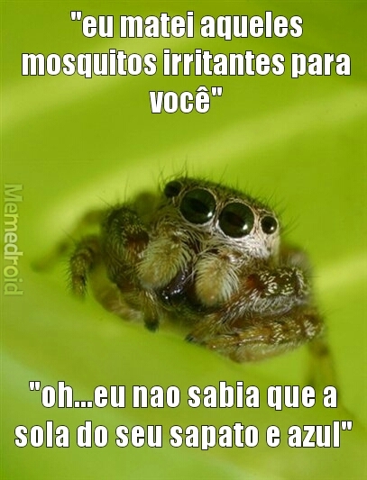 splash - Meme subido por crazyd500.ja :) Memedroid