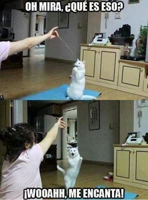 Wooow - Meme subido por costarica61 :) Memedroid