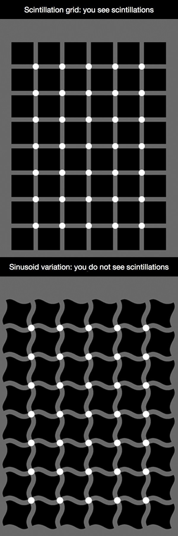 What the heck - Meme by mastershubhamverma :) Memedroid