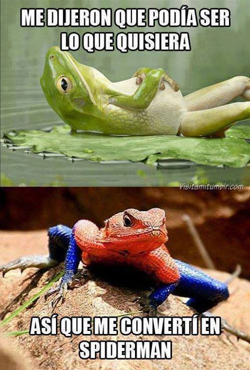 esa rana es toda una loquilla... xD - Meme subido por knick_knack017 ...