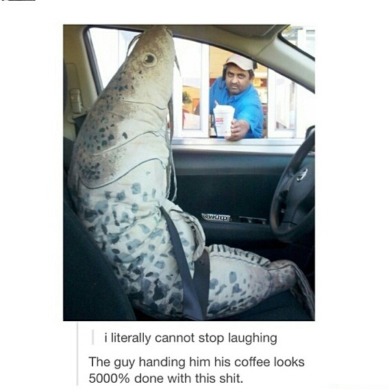 not a sh*t given that day - Meme by thelover22x22 :) Memedroid