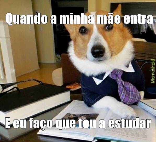 Estudar - Meme by tontinha :) Memedroid