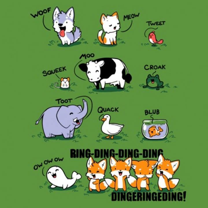 What does the fox say! - Meme by tuomoruutu :) Memedroid