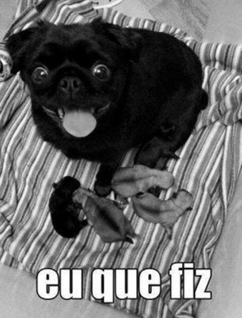 Eu que fizz - Meme by cahlourenco96 :) Memedroid