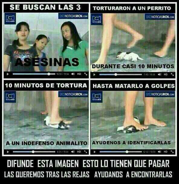 Ayuden porfa ;( - Meme subido por lucianowey50 :) Memedroid