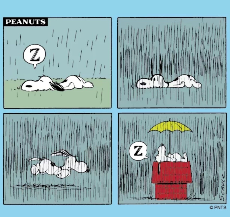 snoopy - Meme by ailingg90 :) Memedroid