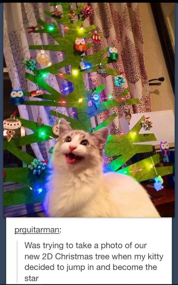 SUPERSTAR! - Meme subido por jewomack512 :) Memedroid