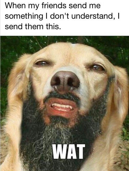 wat dog - Meme subido por Uninstall :) Memedroid