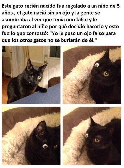 que lindo detalle - Meme subido por Chev_Cranck :) Memedroid