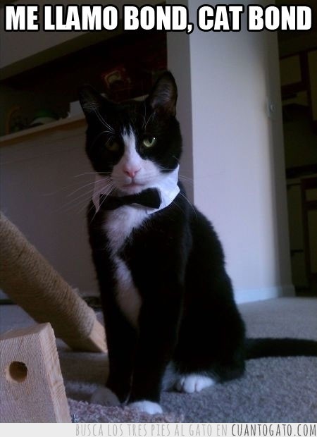 Cat Bond jajjaja Cx - Meme subido por Jernanda :) Memedroid