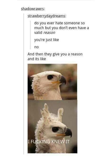 tehehe - Meme by ashangel92 :) Memedroid