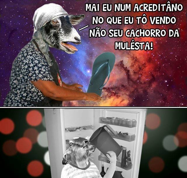 bode gaiato. - Meme by lisakr33 :) Memedroid