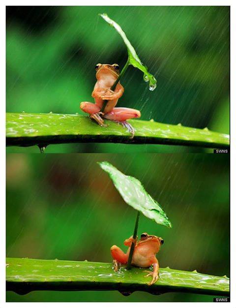 very intelligent - Meme by no__ko54 :) Memedroid