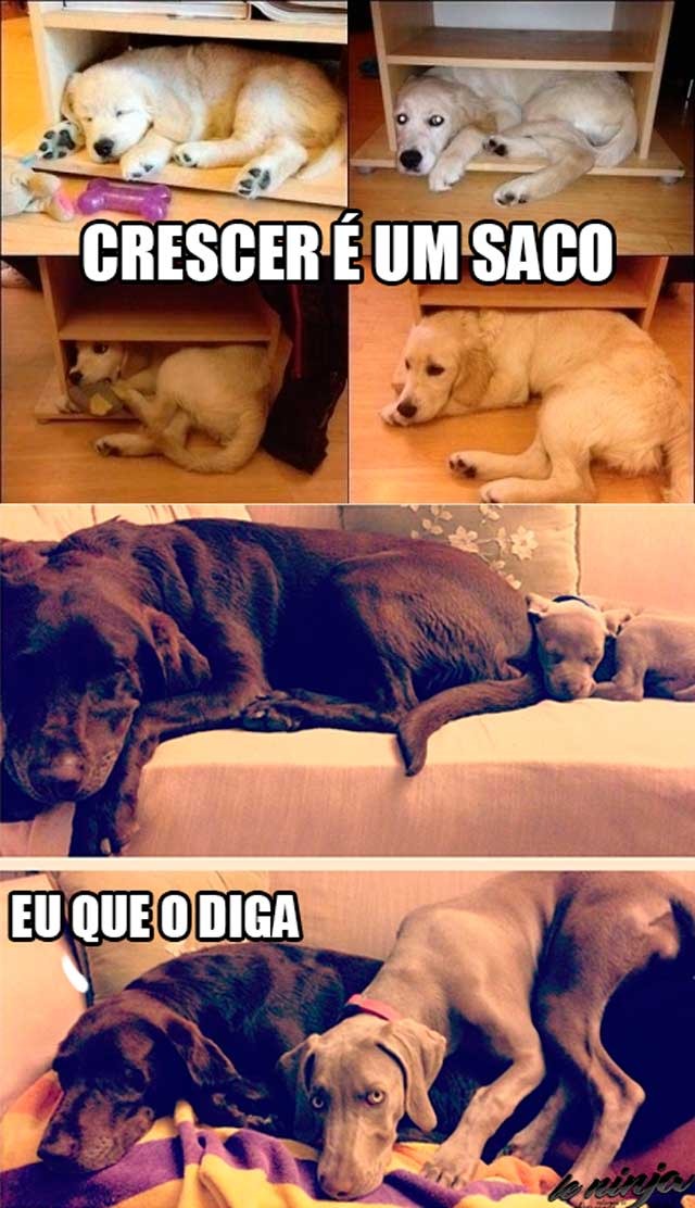 fofo *-* - Meme by lBacontotoso :) Memedroid