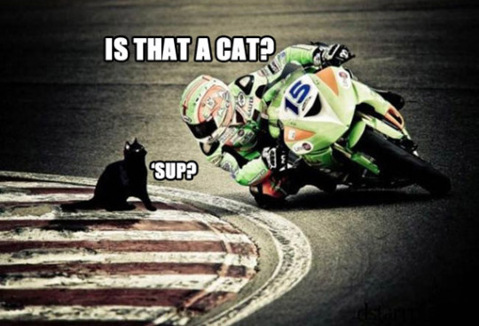 sup - Meme by epicspider123 :) Memedroid