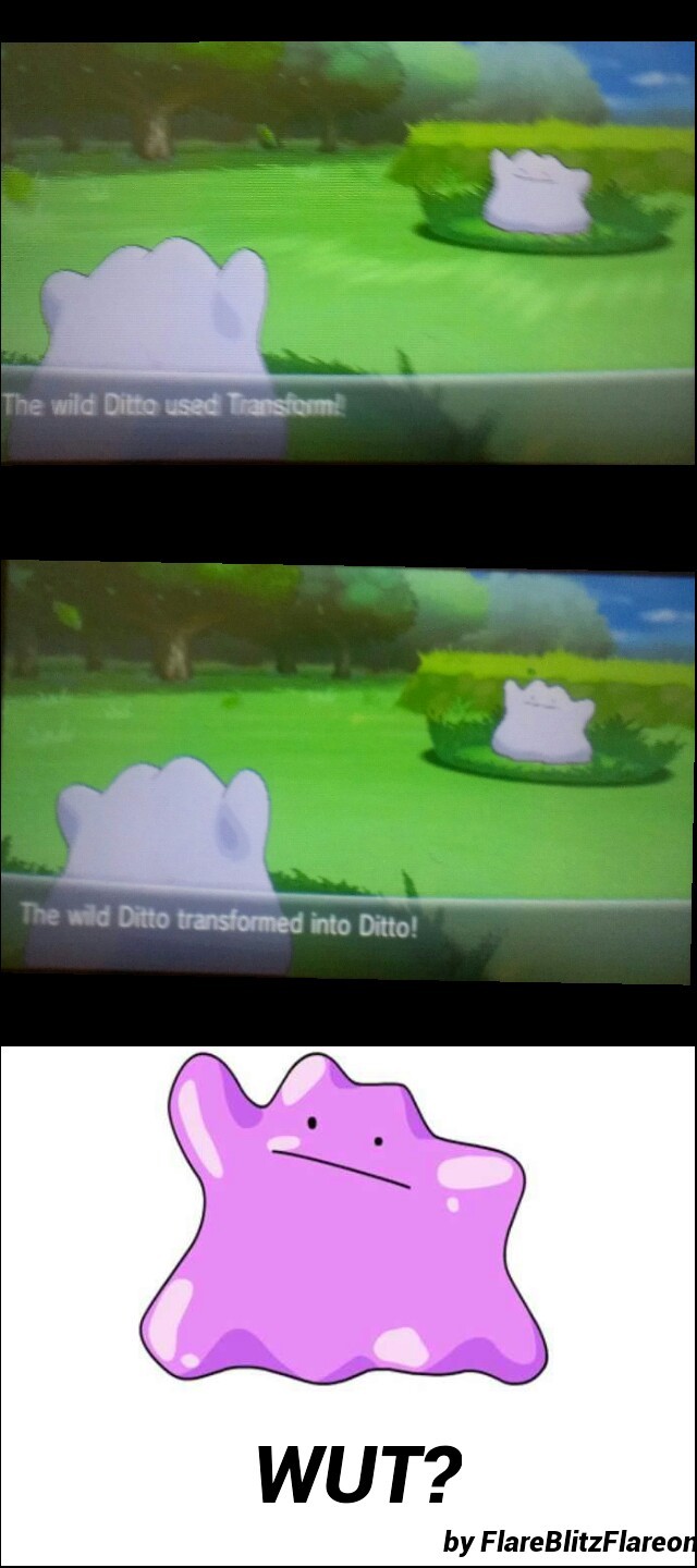 wut? - Meme by andreroman95 :) Memedroid