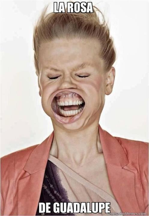 Memes Para Rosa La Rosa De Guadalupe: Liliana Se Convierte En Meme