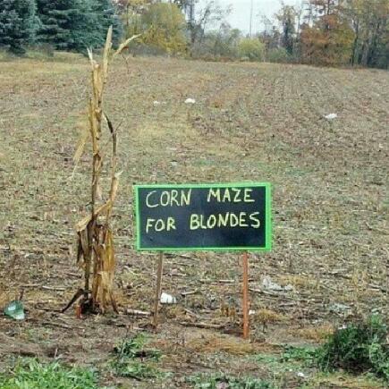 maze - Meme by stijndictus :) Memedroid