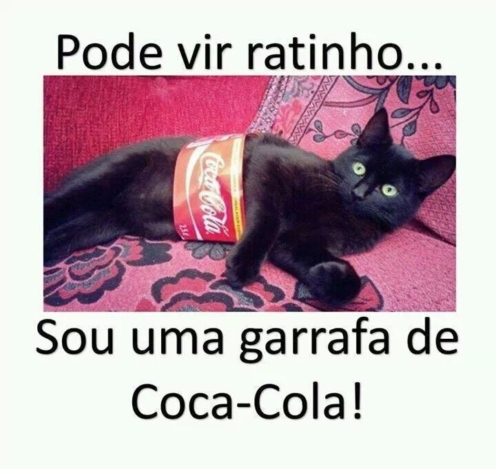 pode vir ratinho... - Meme by mclaytonfmt :) Memedroid