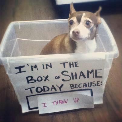 box of shame - Meme subido por reefermadness88 :) Memedroid