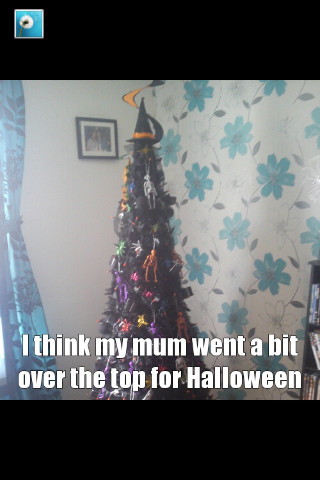 ott - Meme by ciaranoneill38 :) Memedroid