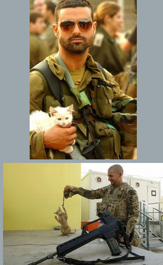 Awwwww - Meme by epicspider123 :) Memedroid