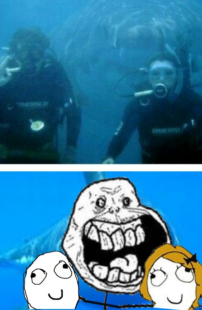 Forever Tubarão - Meme by Prymen :) Memedroid