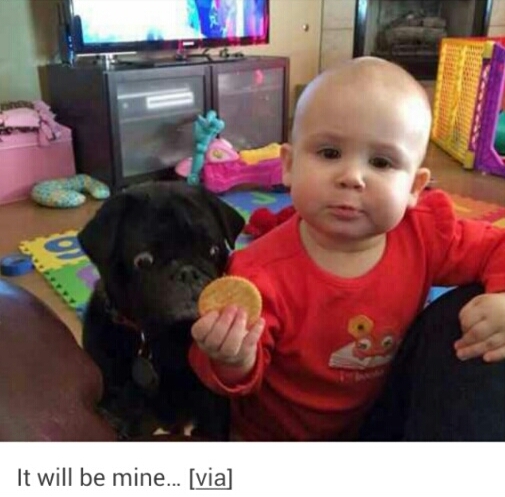 My precious! - Meme by TheOmegaOperative :) Memedroid