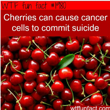 Cherries save lives - Meme by brandonsmint7123 :) Memedroid