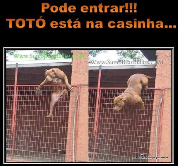 Seja bem-vindo - Meme subido por megg :) Memedroid