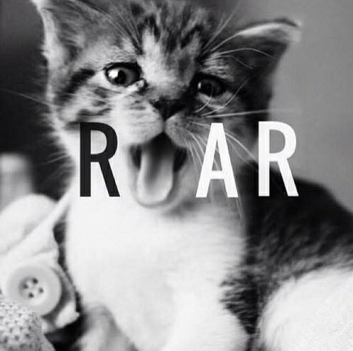 Roar *-* - Meme by x3imanex3 :) Memedroid