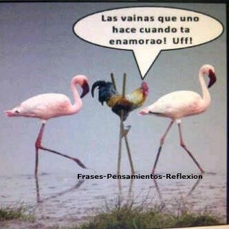 Lo que uno hace por amor XD - Meme subido por carlosmessi517 :) Memedroid