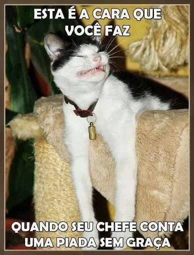 É assim mesmo. - Meme subido por Vaisti_Fiuder :) Memedroid