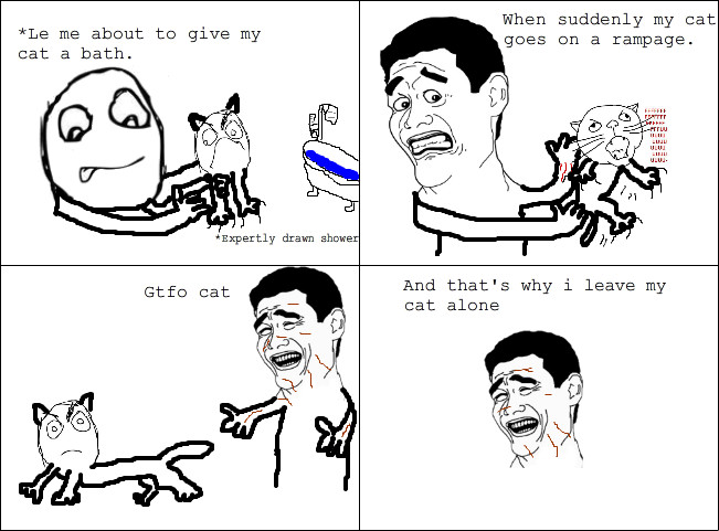 Rage Cat - Meme by Mr.Fish :) Memedroid