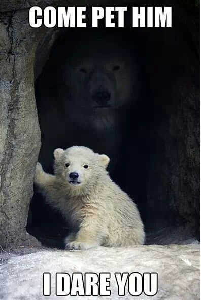 aw - Meme by bearholdnshark83 :) Memedroid