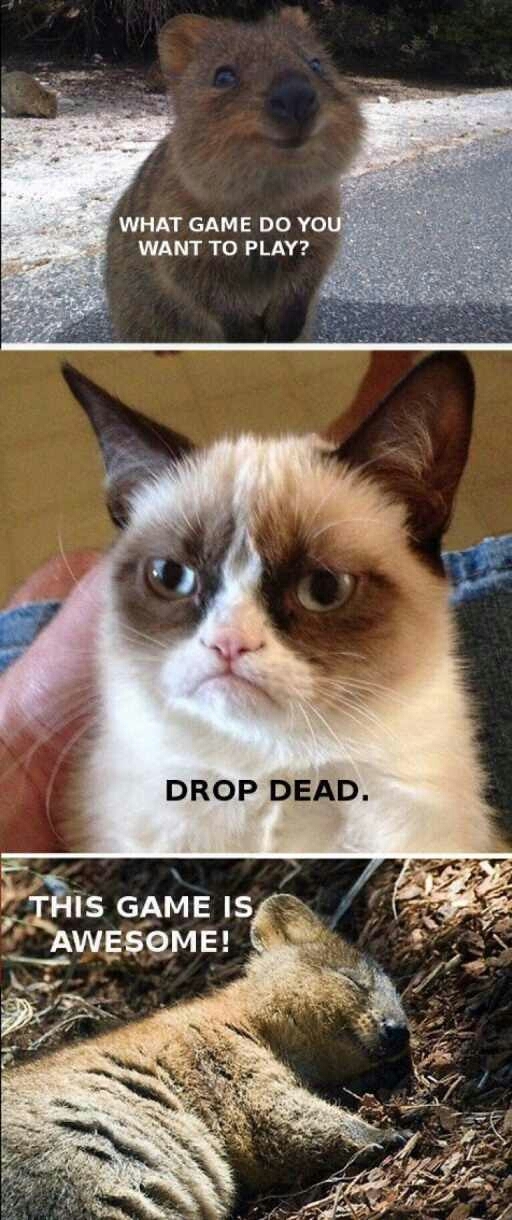 Awww. :) - Meme by ashangel92 :) Memedroid