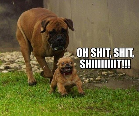 shiiiiiiiiit - Meme subido por pmmmmmmm :) Memedroid