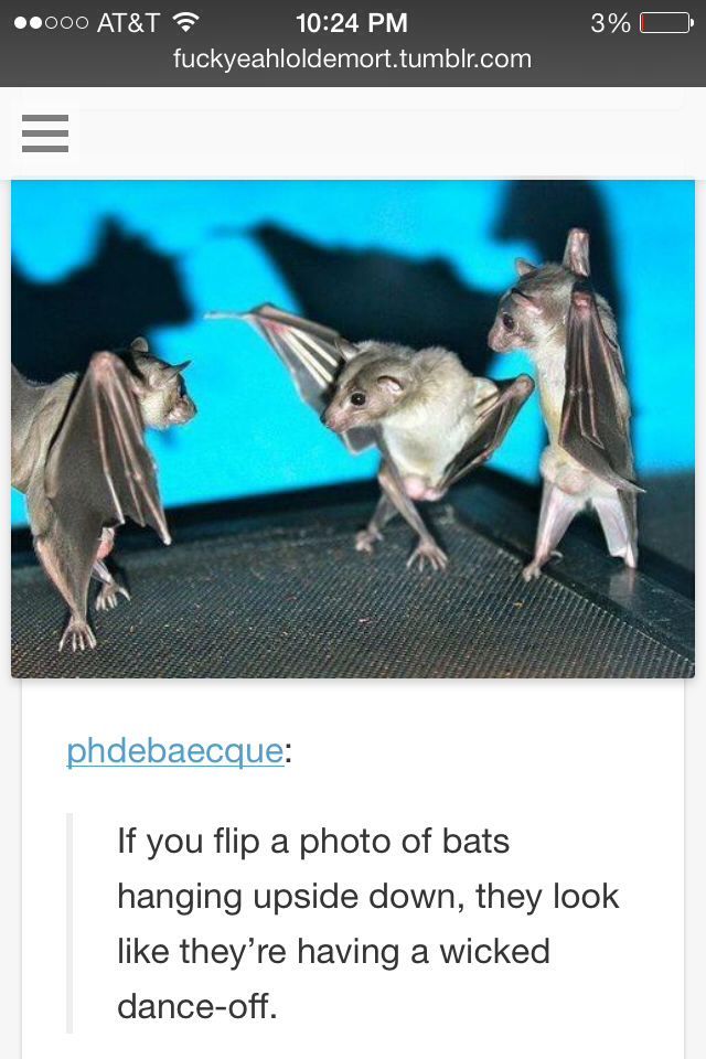 Vag - Meme by NMIQ77 :) Memedroid