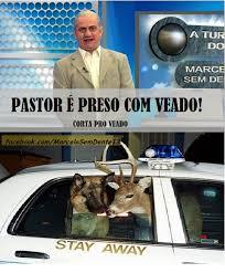 veado - Meme by Lokura :) Memedroid