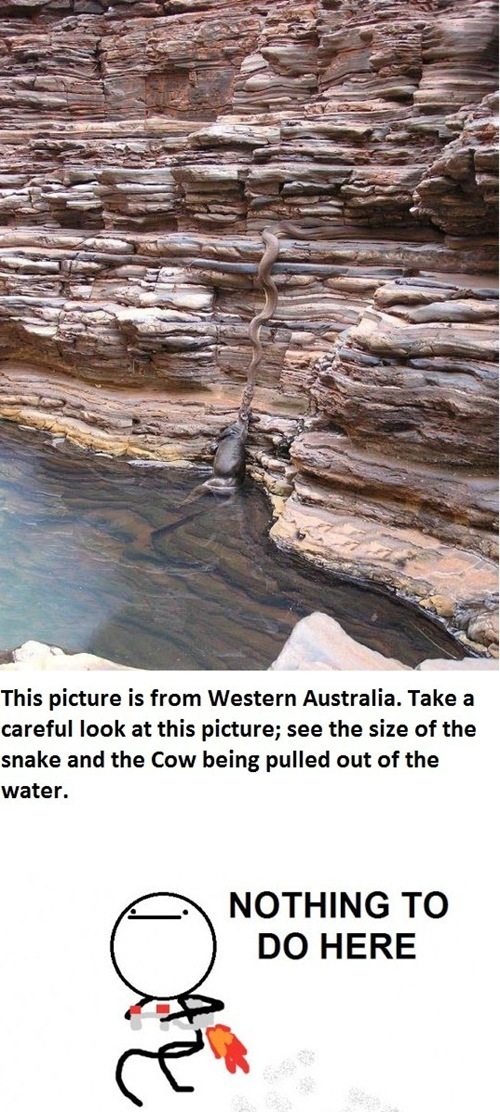 welcome to Australia - Meme subido por Pud3000 :) Memedroid